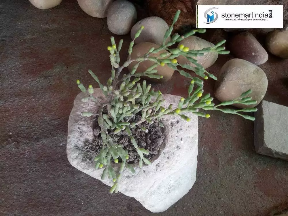 Rainbow Boulder Planter - stonemartindia.com