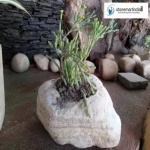 Rainbow Boulder Planter - stonemartindia.com